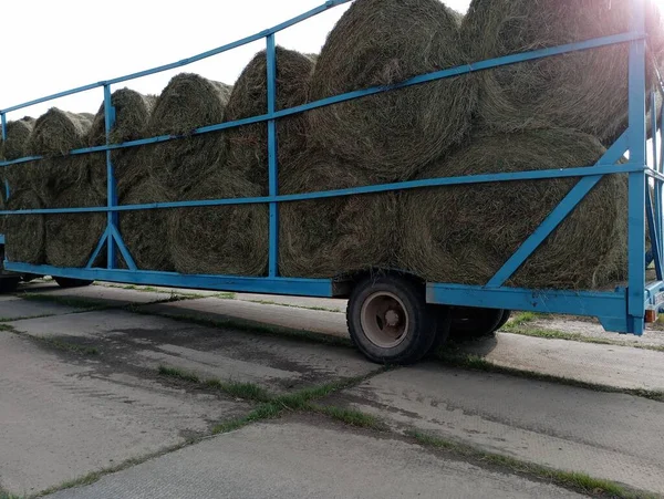 Hay transporter Stock Photos, Royalty Free Hay transporter Images ...