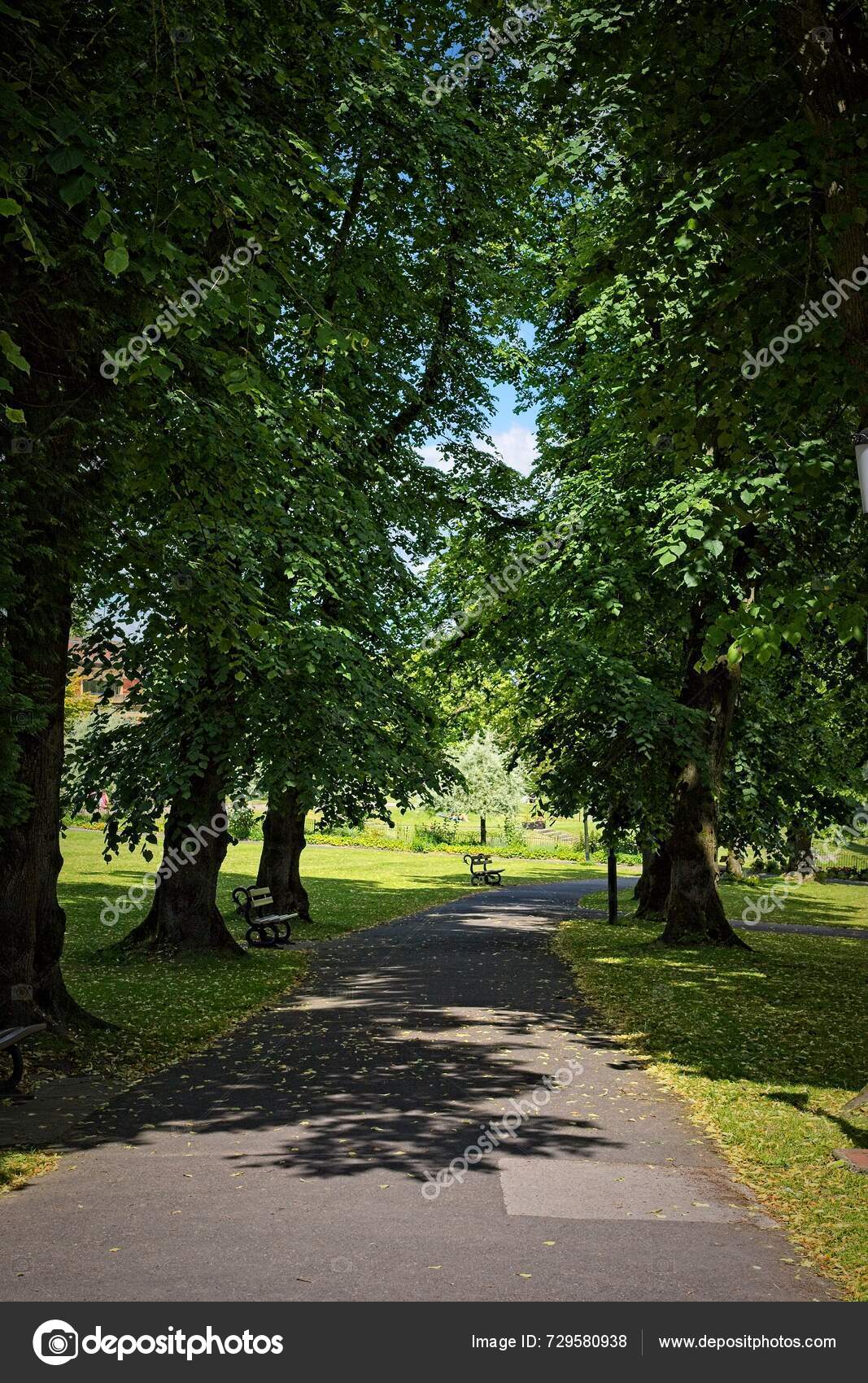 Serene Park Pathway Shaded Tall Lush Green Trees Benches Sides — Stock ...