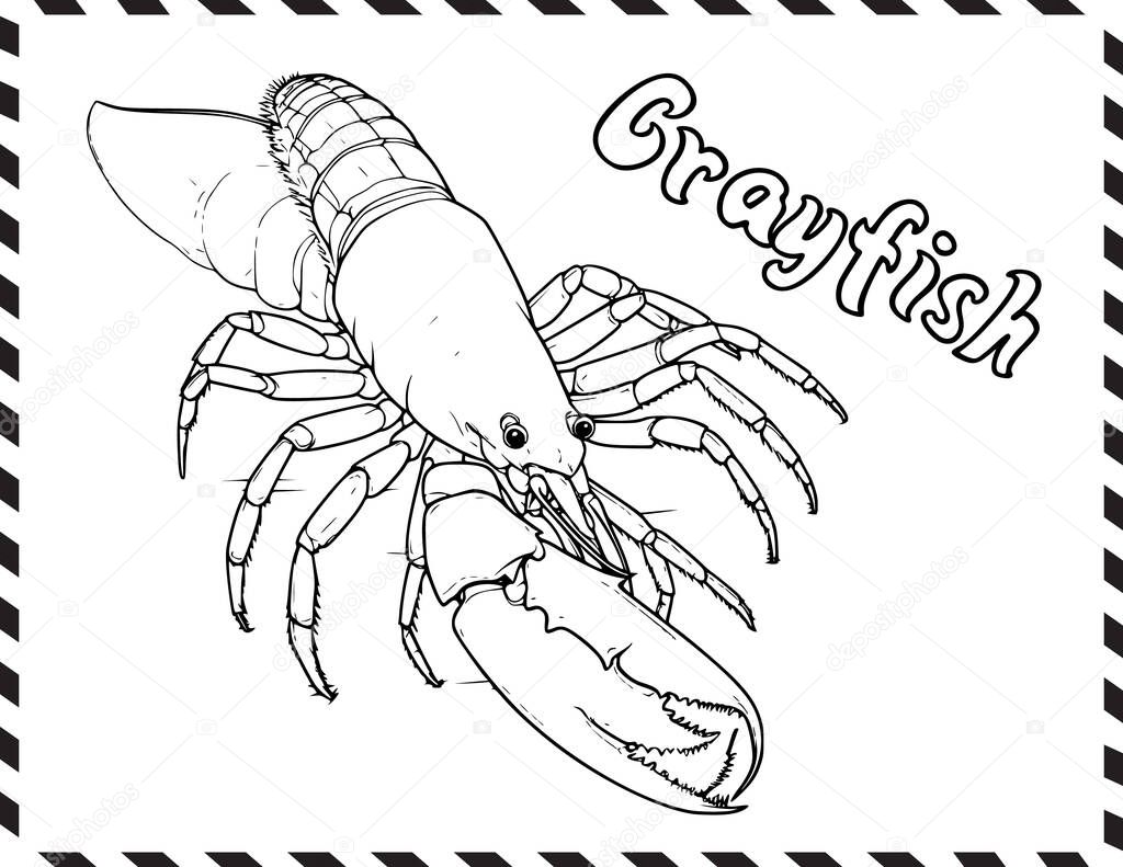 Cangrejo de río en el mar para colorear Páginas Dibujo para niños 2024