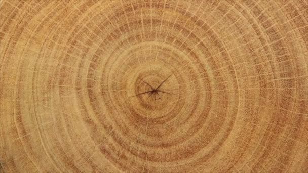 1,323 The pellets Videos, Royalty-free Stock The pellets Footage ...