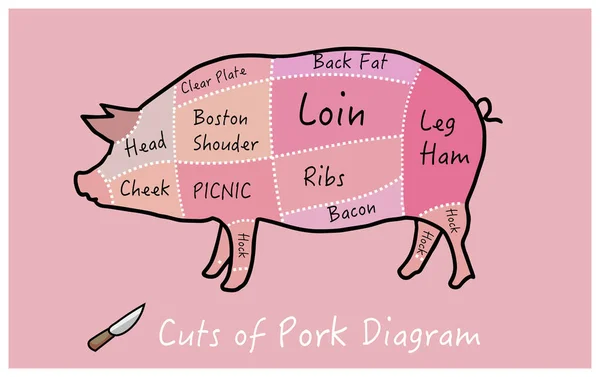 100,000 Diagram of the pork cuts Vector Images | Depositphotos