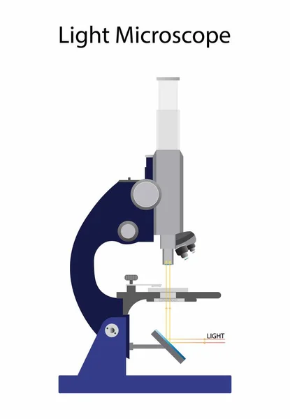 ilustración de la biología y la física, microscopio de luz es un ...