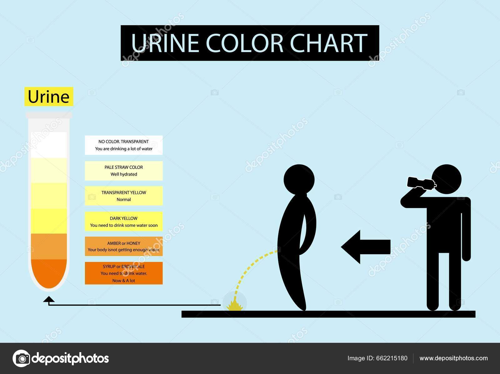 Urine Ph Color Chart