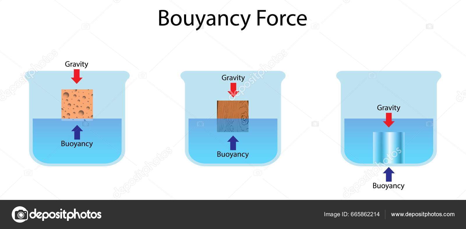 Buoyancy Force Illustration Physics Archimedes Principle Buoyant Force ...
