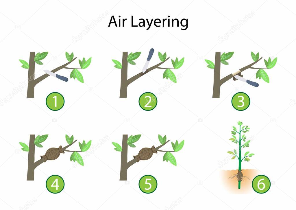 ilustración de paisajismo y agricultura, Capa de aire es un método de ...