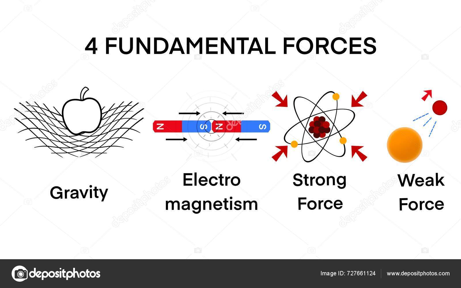 Animación Física Fuerza Fundamental Cuatro Interacciones Fundamentales ...