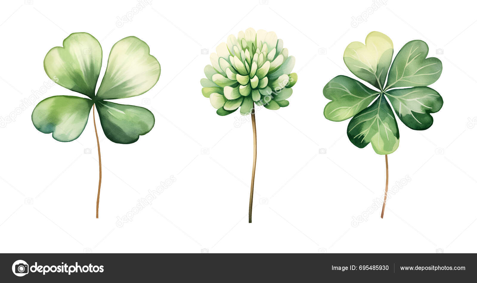 Watercolor Clover Patrick's Day Illustration Clipart Isolated White ...