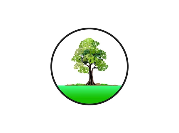 11,690,854 Tree in circle Vector Images | Depositphotos
