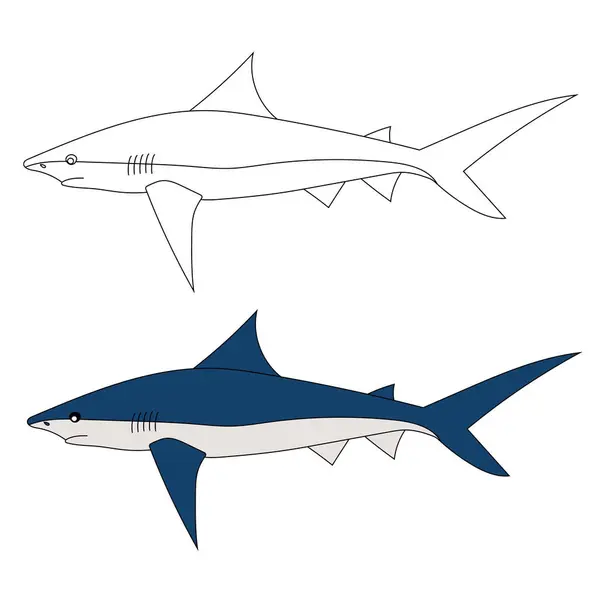 Shark Clipart Aquatic Animals Clipart Set Lovers Sea Animals Sea Stock ...