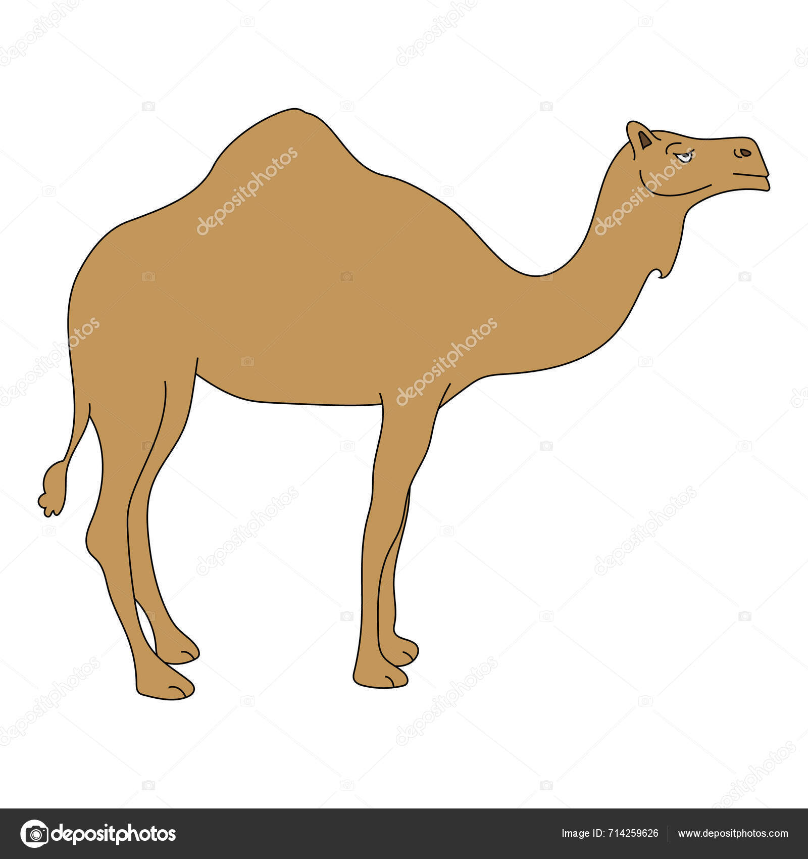 Camel Clipart Doodle Animals Clipart Cartoon Wild Animals Clipart ...