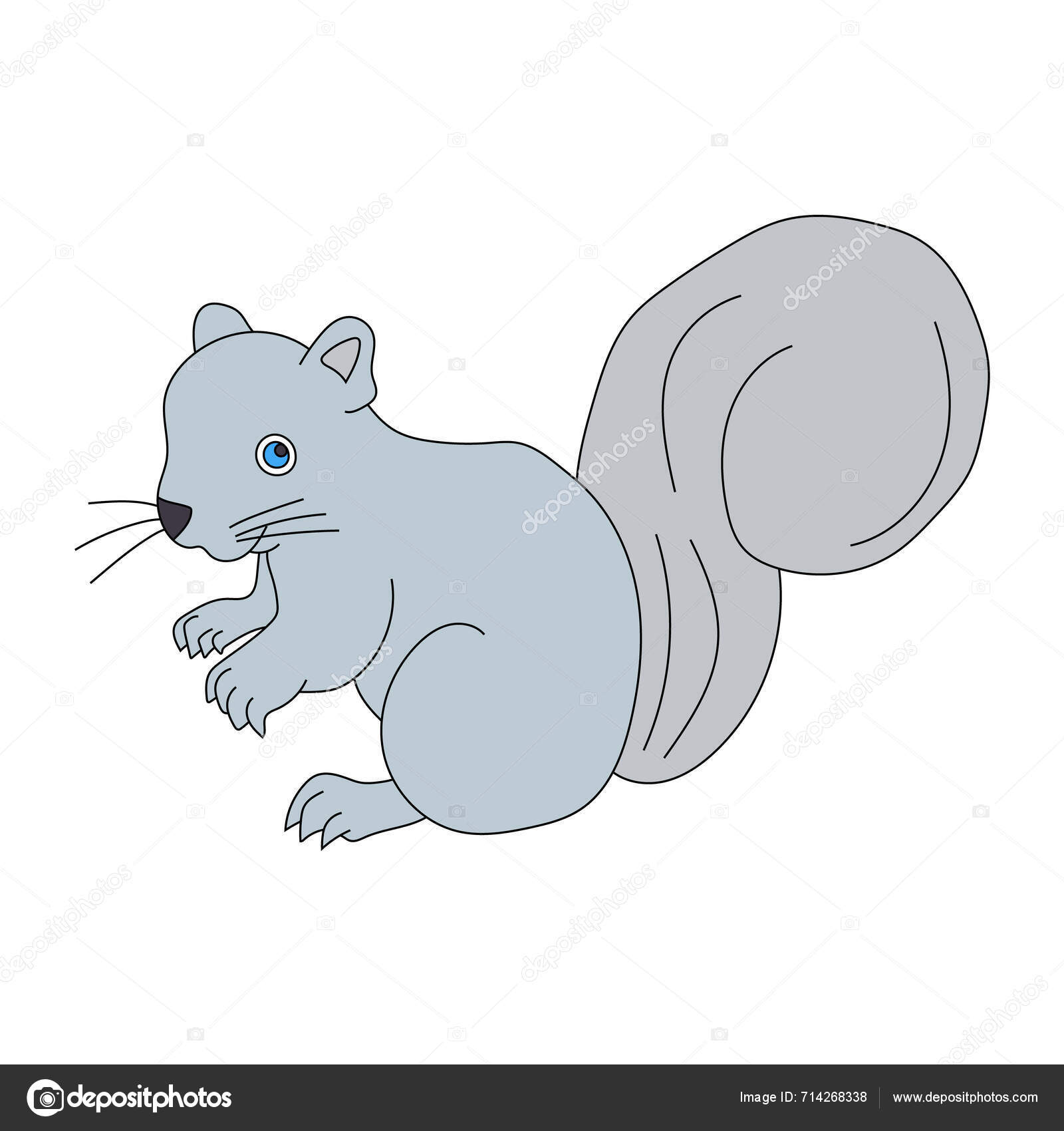 Squirrel Clipart Doodle Animals Clipart Cartoon Wild Animals Clipart ...