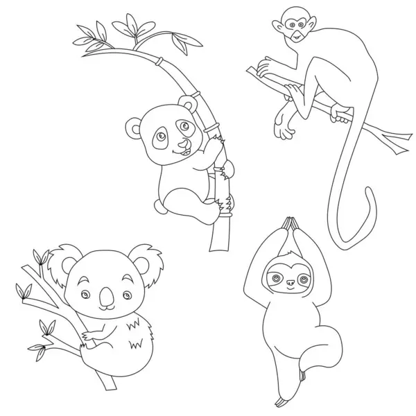 Sloth Clipart Doodle Animals Clipart Cartoon Wild Animals Clipart ...