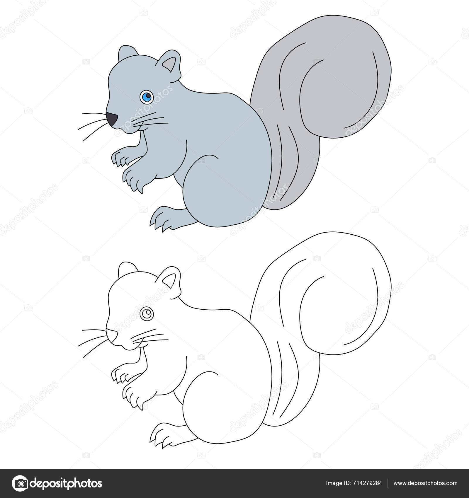 Squirrel Clipart Doodle Animals Clipart Cartoon Wild Animals Clipart ...