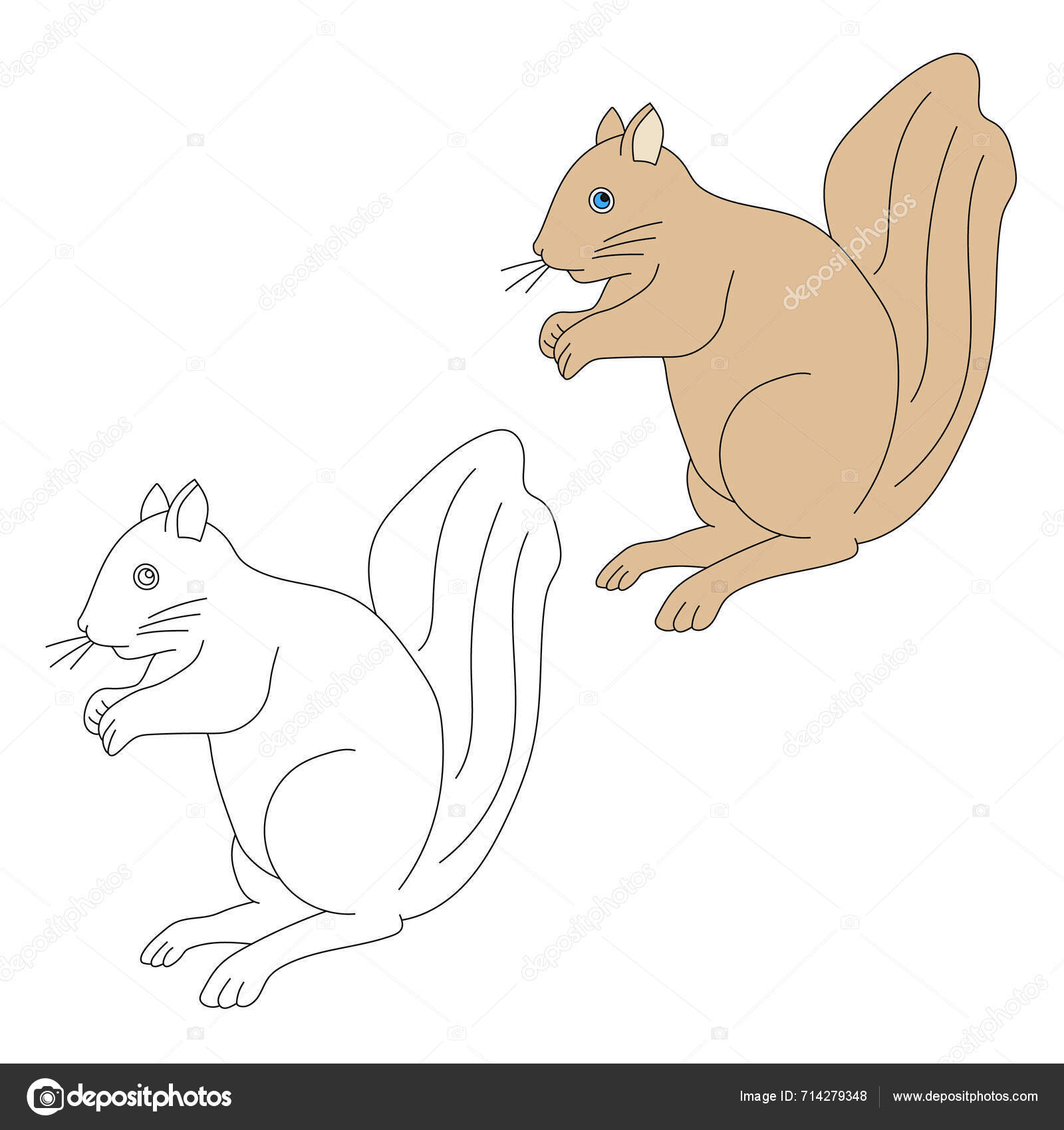 Squirrel Clipart Doodle Animals Clipart Cartoon Wild Animals Clipart ...