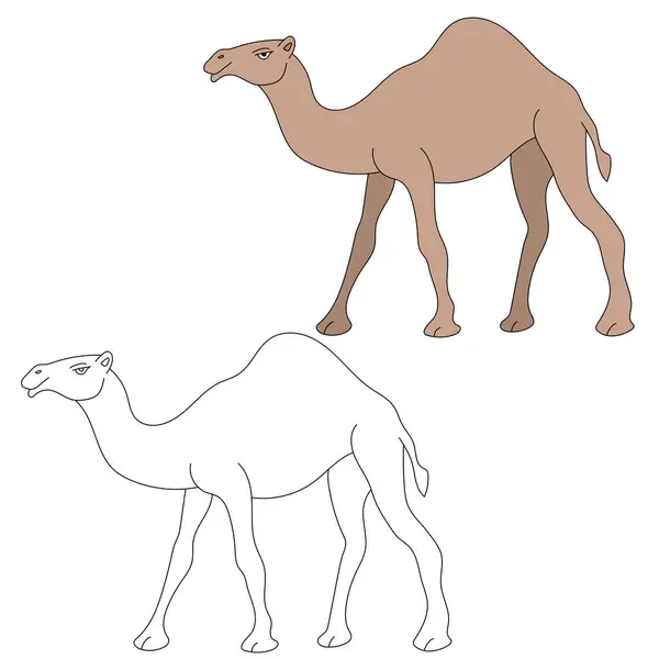 Camel Clipart Doodle Animals Clipart Cartoon Wild Animals Clipart ...
