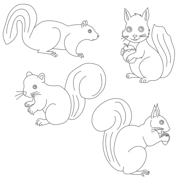 Kangaroo Clipart Doodle Animals Clipart Cartoon Wild Animals Clipart ...