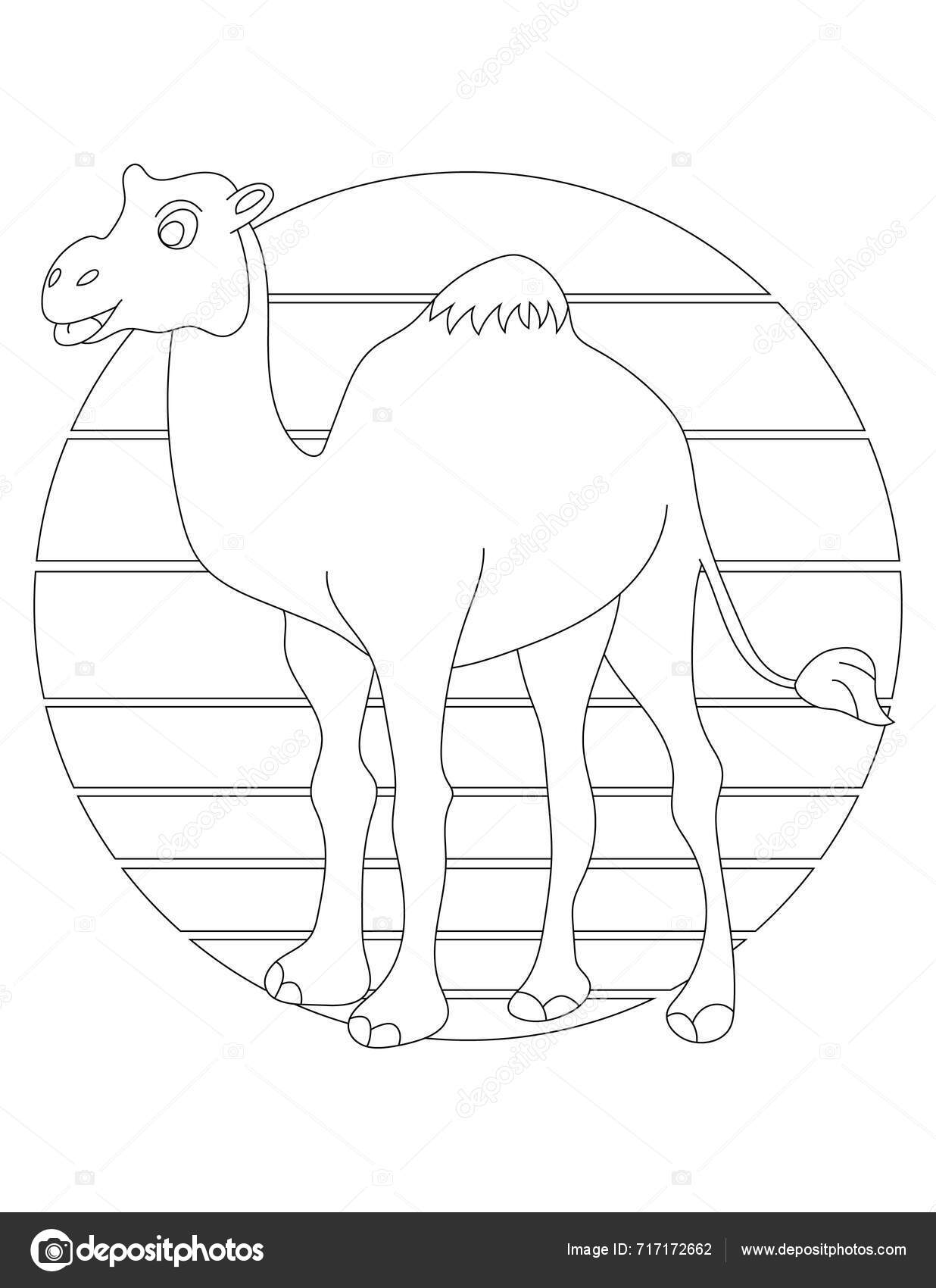 Camel Coloring Page Wild Animal Coloring Page Kids Who Love — Stock ...