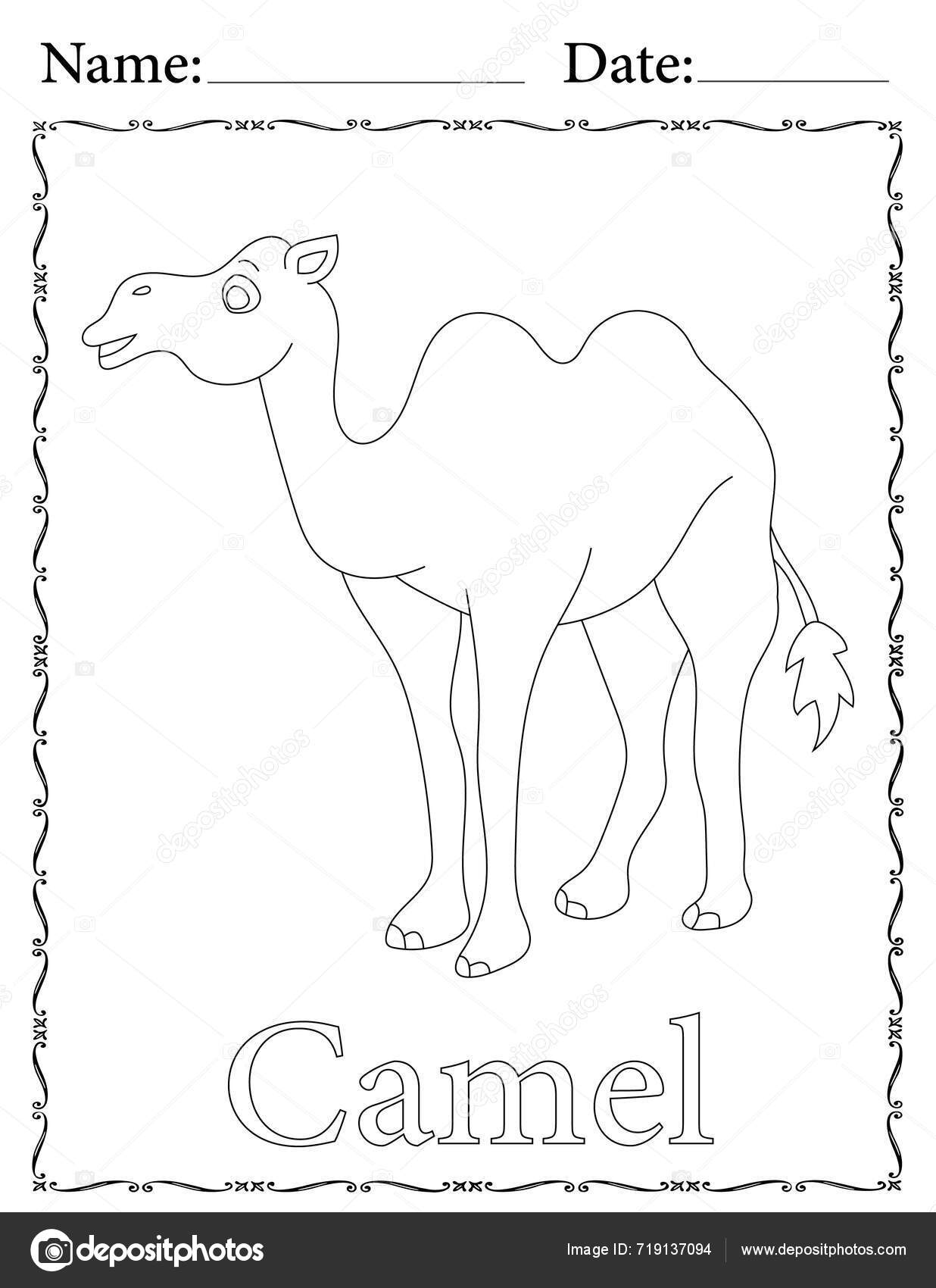 Camel Printable Coloring Worksheet Kids Educational Resources School ...
