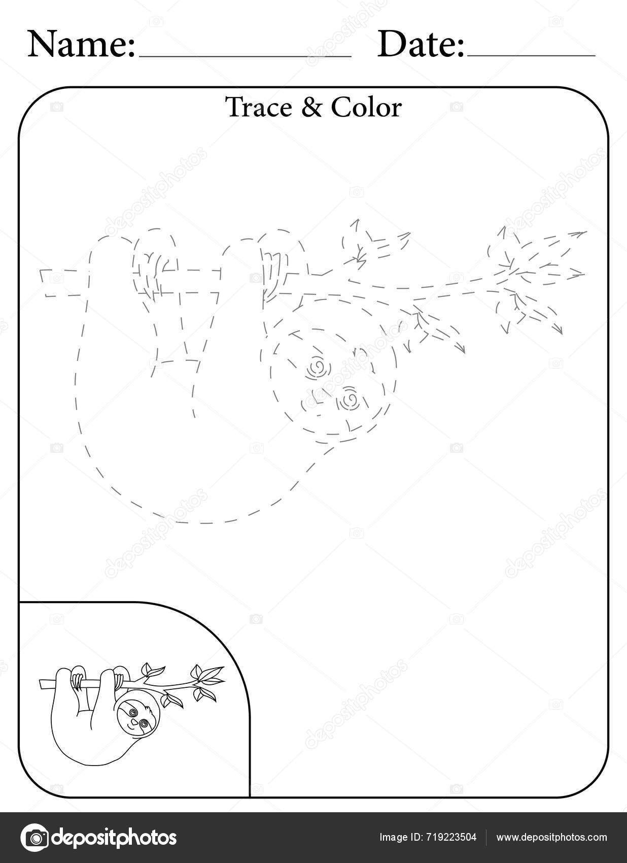 Sloth Puzzle Printable Activity Worksheet Kids Educational Resources ...