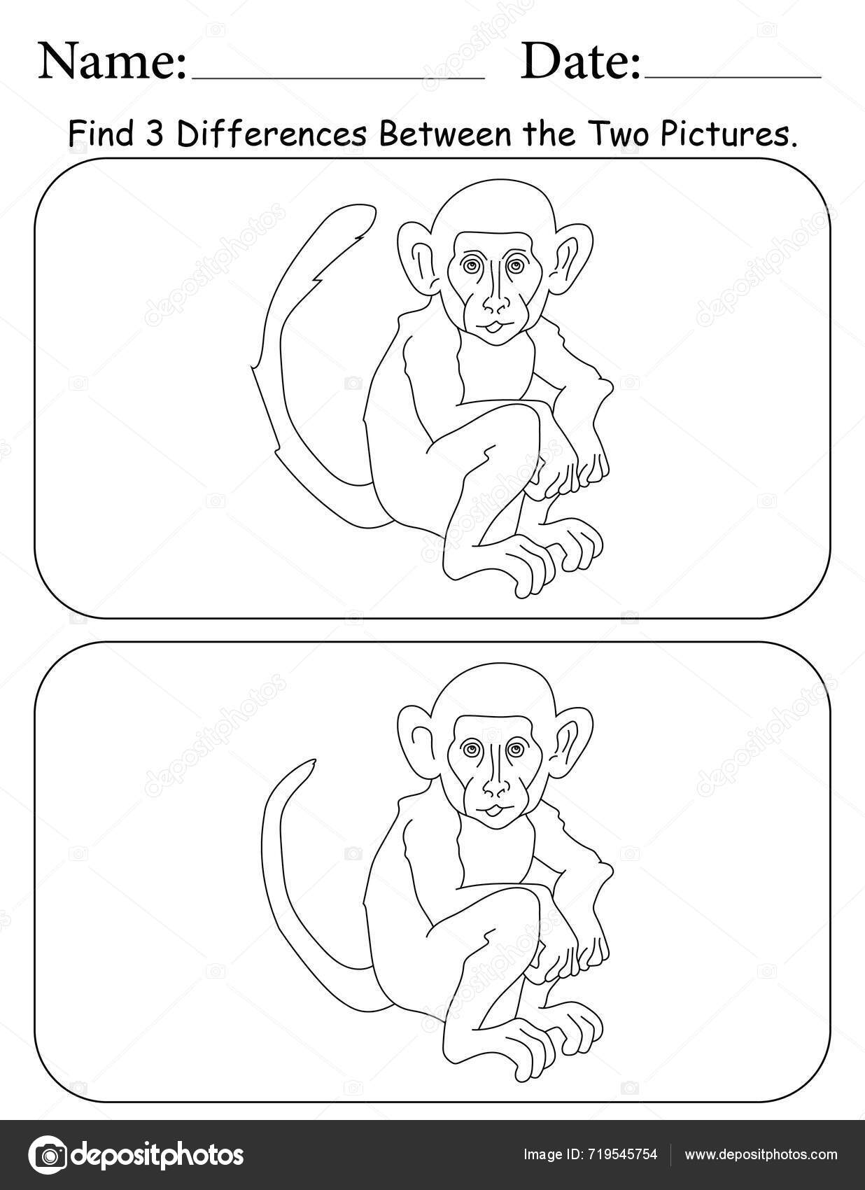 Monkey Puzzle Printable Activity Worksheet Kids Educational Resources ...