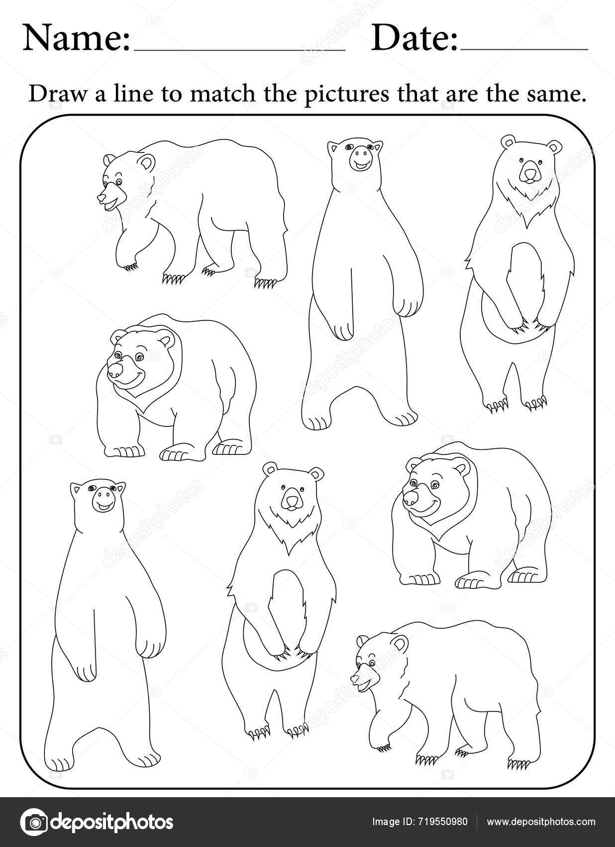 Bear Puzzle Printable Activity Worksheet Kids Educational Resources ...