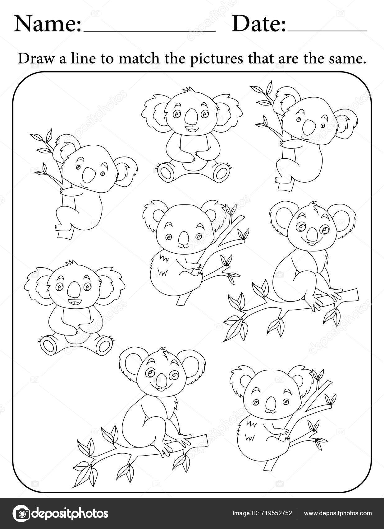 Koala Puzzle Hoja Trabajo Actividad Imprimible Para Niños Recursos ...