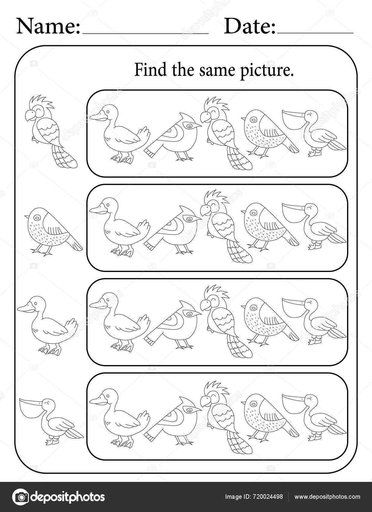Birds Puzzle Printable Activity Worksheet Kids Educational Resources ...