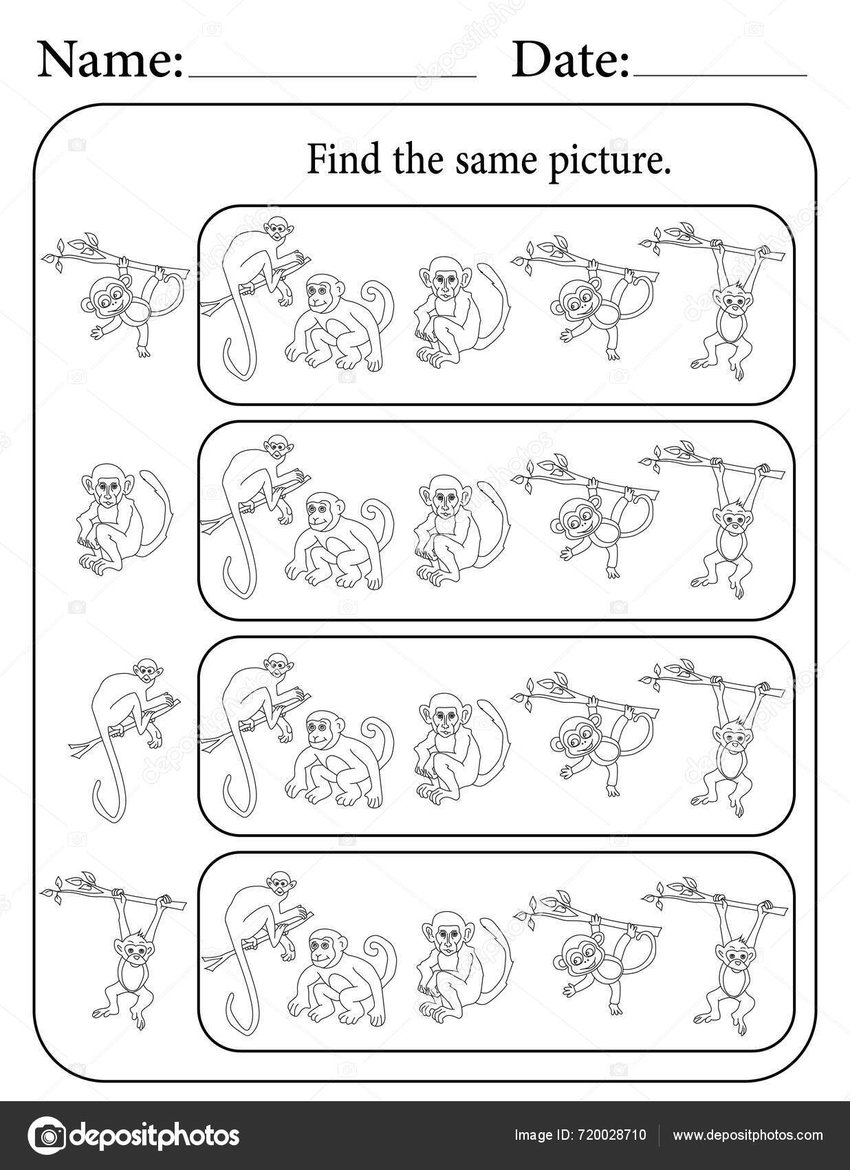 Monkey Puzzle Printable Kids Activity Worksheet Educational Resources ...