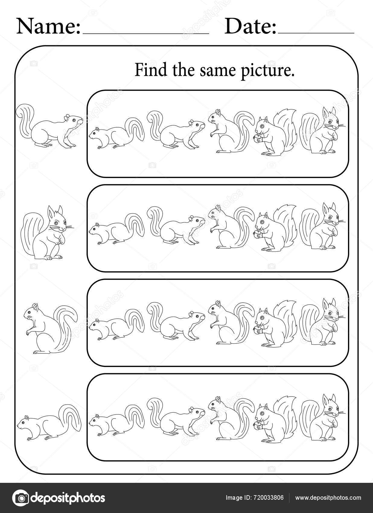Squirrel Puzzle Printable Kids Activity Worksheet Educational Resources ...