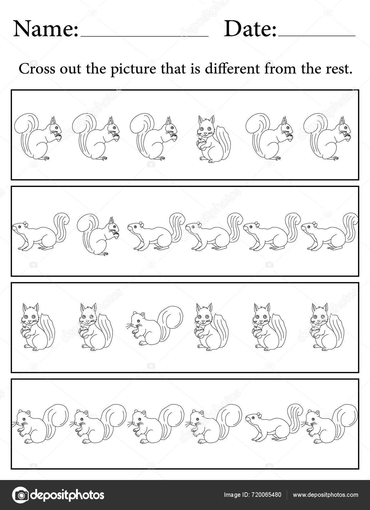 Squirrel Puzzle Printable Kids Activity Worksheet Educational Resources ...