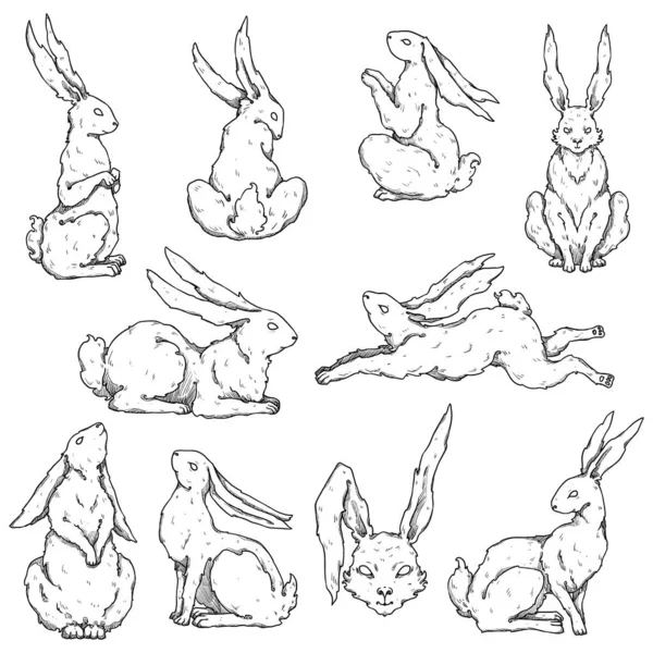 Rabbit line drawings Stock Photos, Royalty Free Rabbit line drawings ...