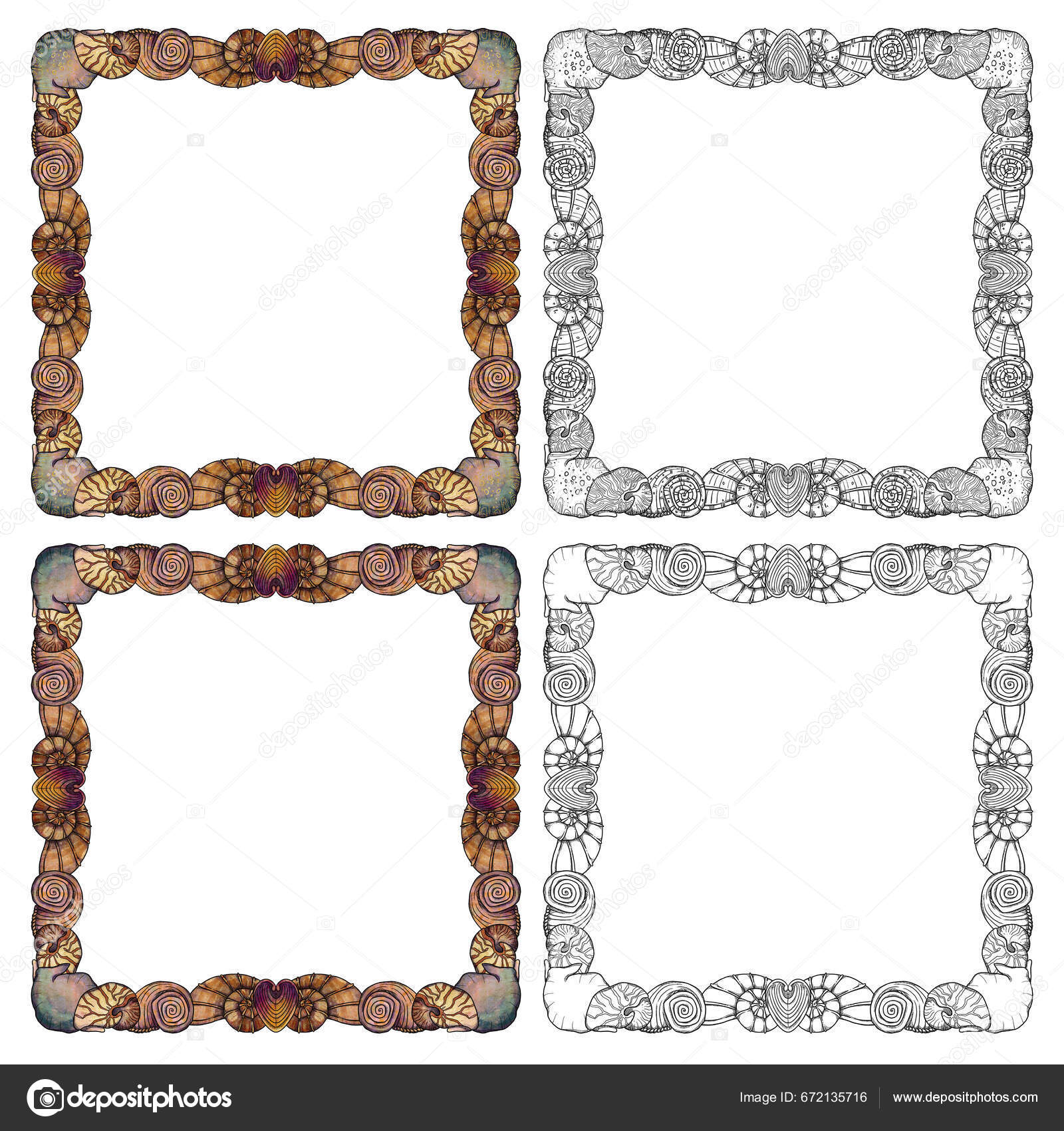 Boho Shells Frames Hand Drawn Colored Line Art Set Sea Stock Photo by ...