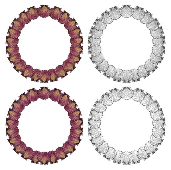Boho Shells Frames Hand Drawn Colored Line Art Set Sea Stock Photo by ...