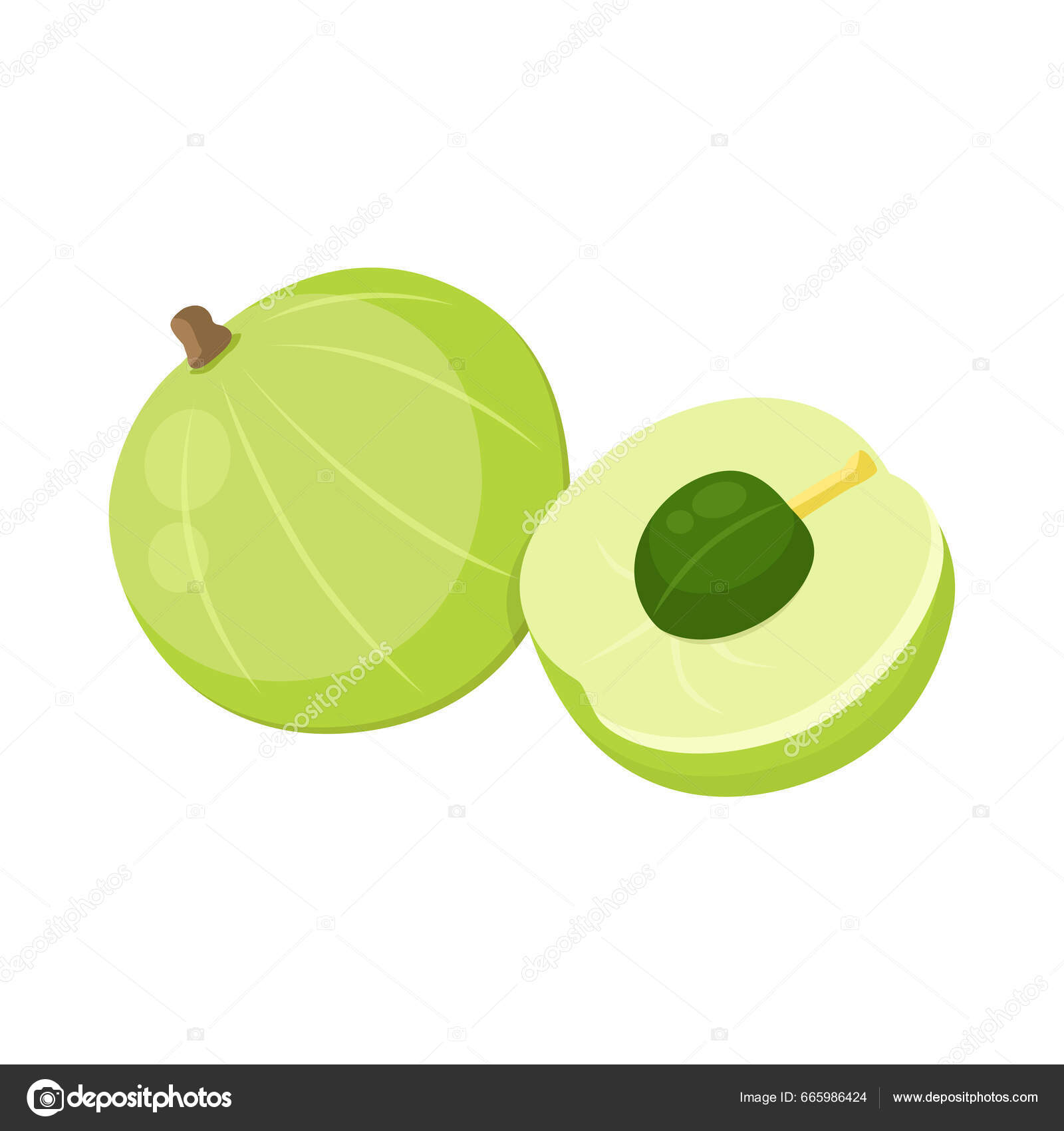 Flat Vector Gooseberry Isolated White Background Flat Illustration Graphic Icon Stock Vector by ...
