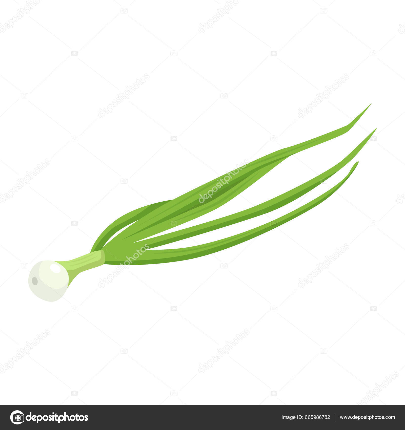 Flat Vector Chives Isolated White Background Flat Illustration Graphic Icon Stock Vector by ...