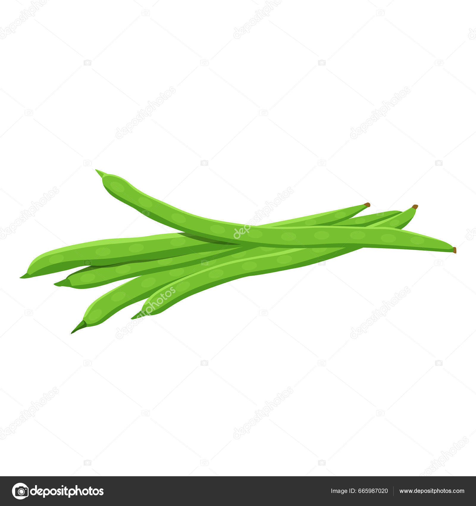 Flat Vector Haricot Beans Isolated White Background Flat Illustration ...