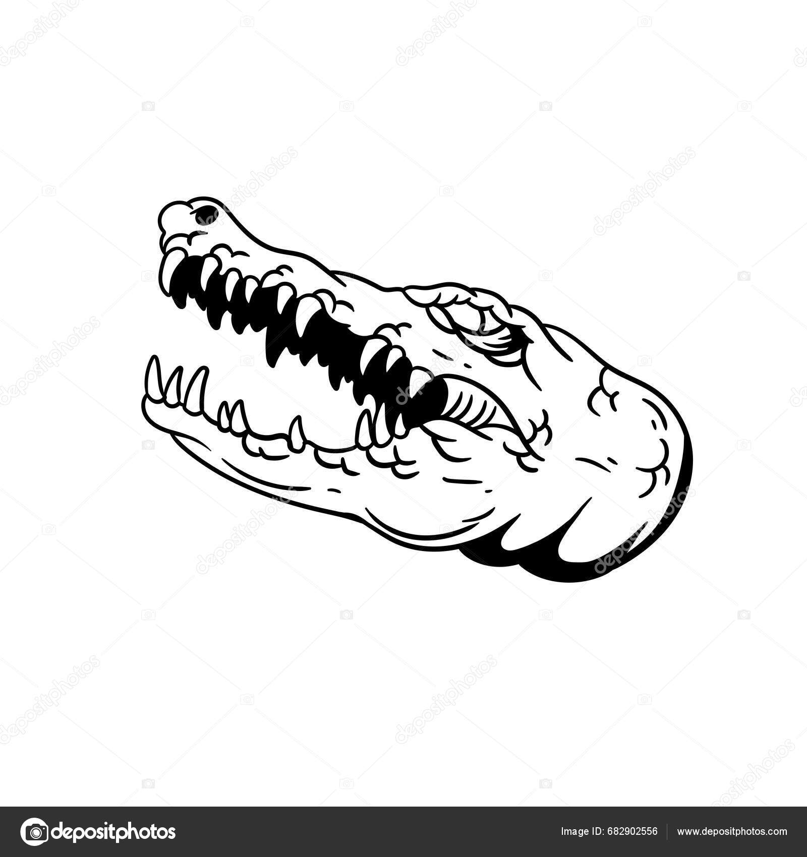 Hand Drawn Illustration Cool Crocodile Head Outline Stock Vector by ...