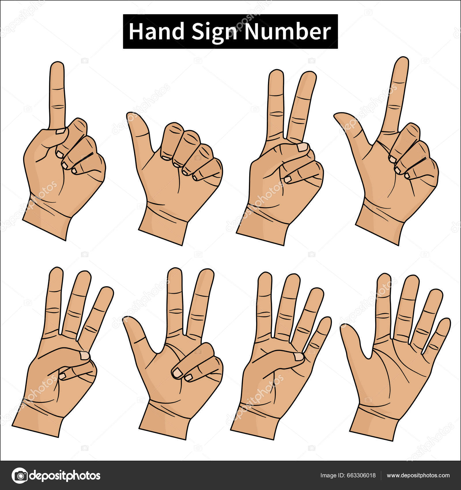 Hand Gestures Vector
