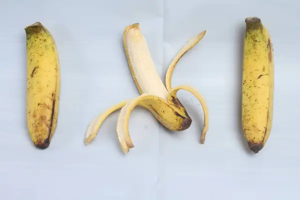 Morfologia del cultivo de banano fotos de stock, imágenes de Morfologia ...