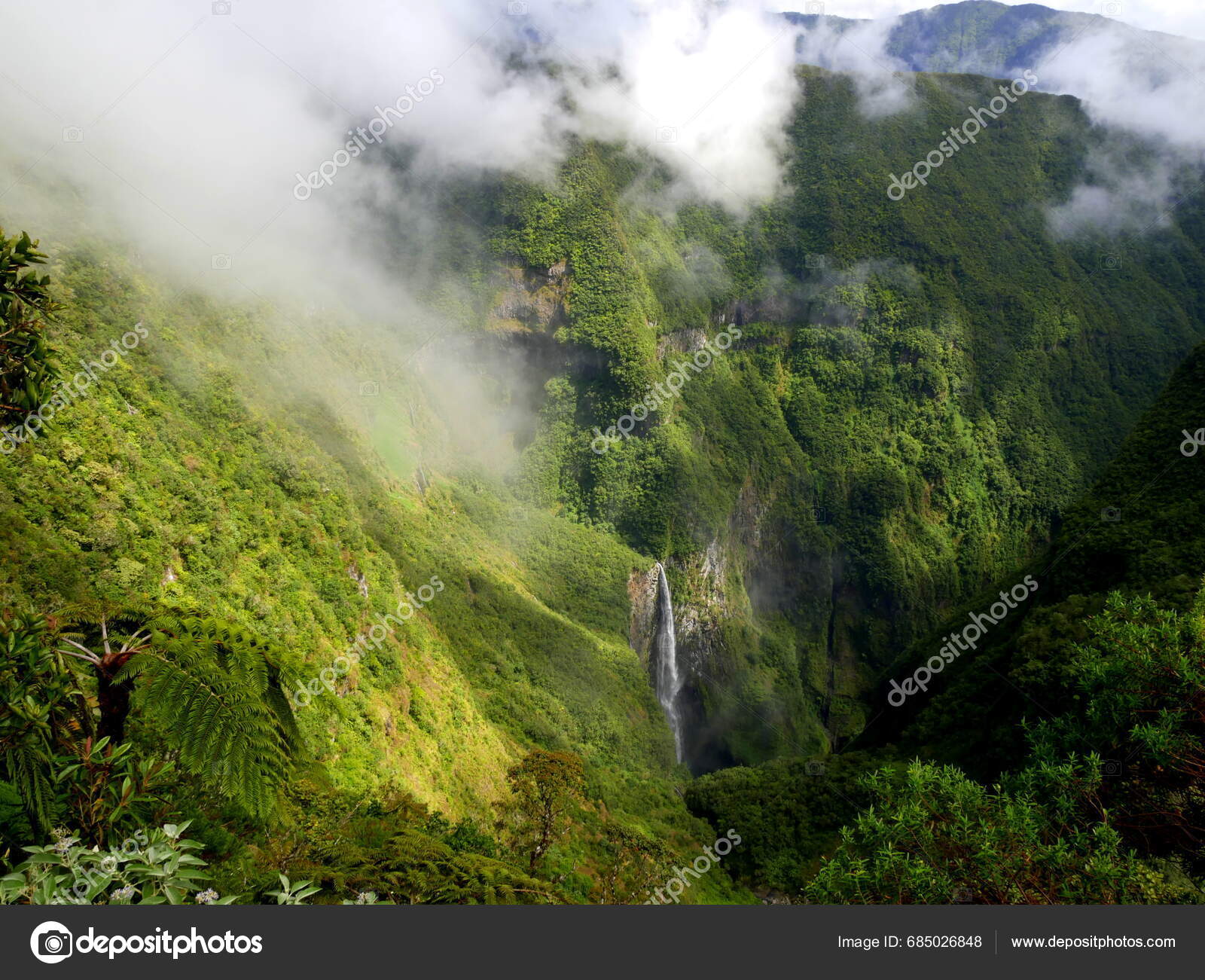 Trou Fer Iron Hole Highest French Waterfall Middle Primary Forest ...