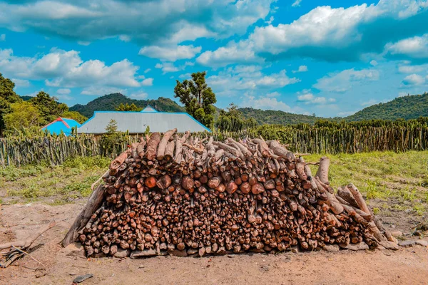 Traditional African Village Big Pile Firewood Stock Photo by ©Oni ...