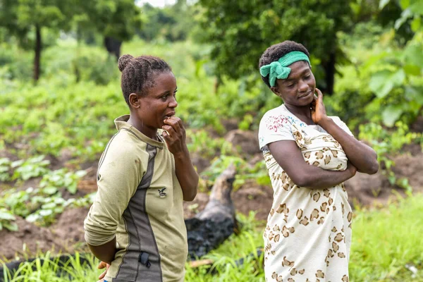 Talata Plateau State June 2023 Portrait African Woman — Stock Editorial ...