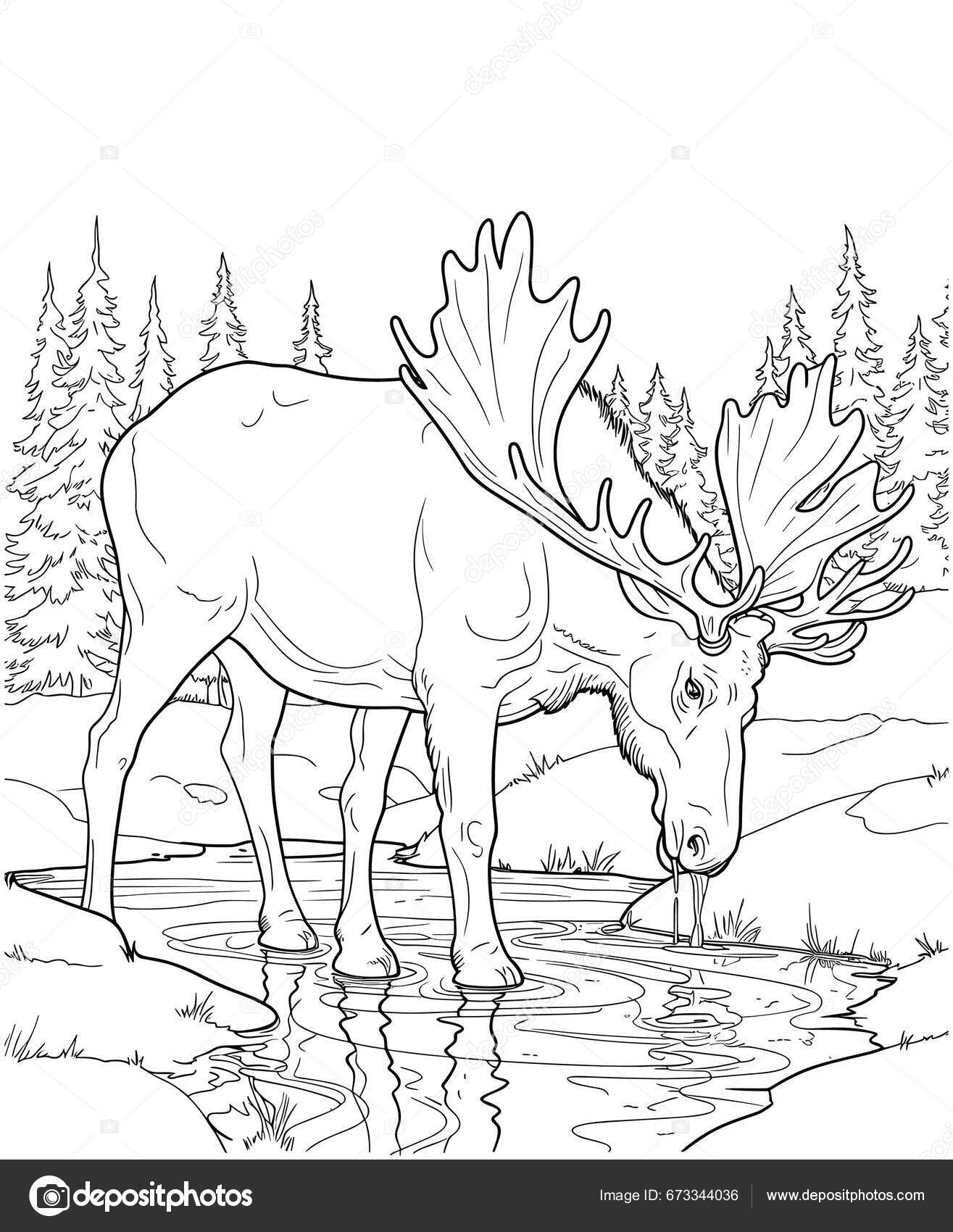 Plantilla Para Colorear De Alce