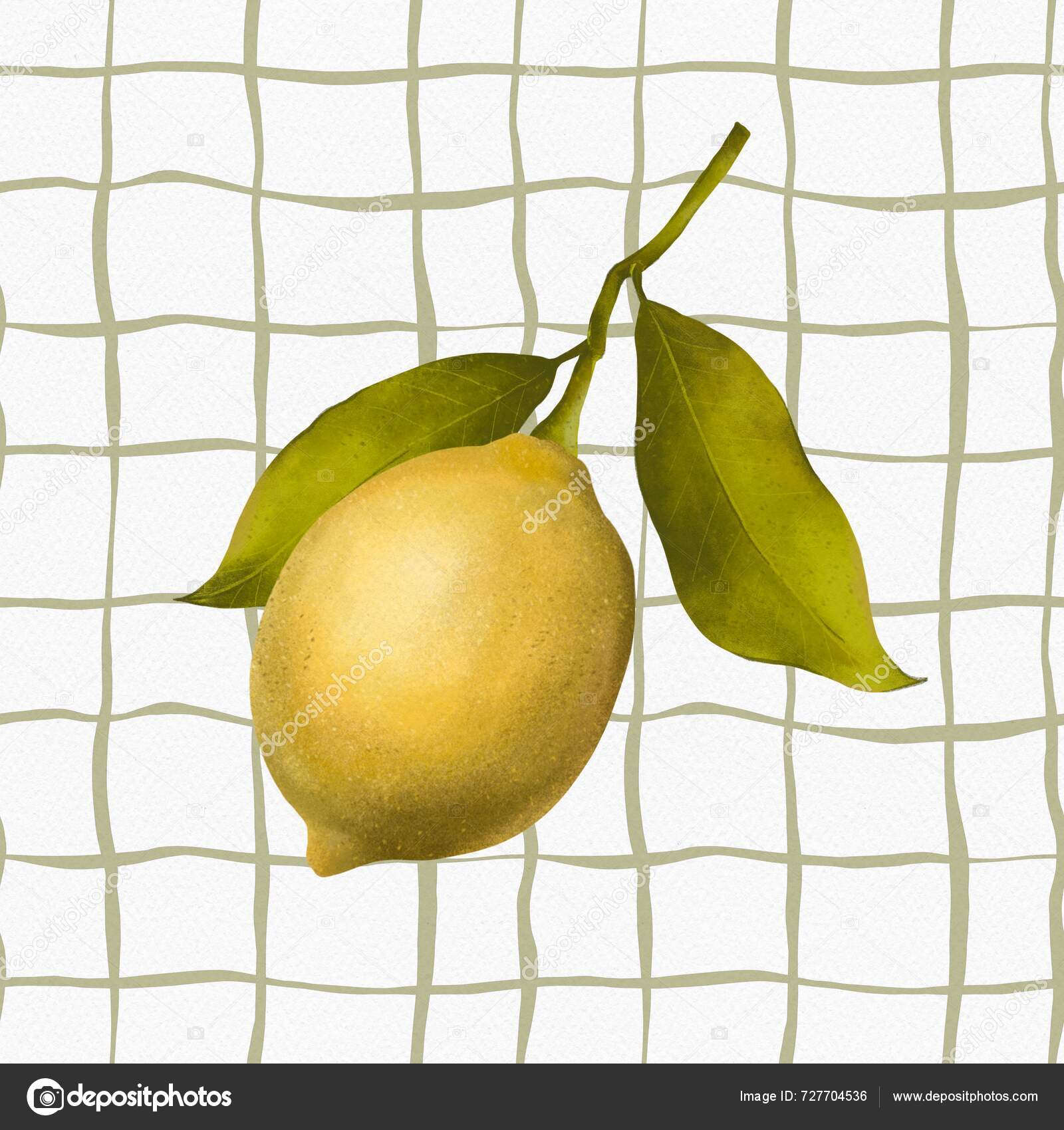 Hand Draw Lemon Leaves Clipart Citrus Fruit Isolated Element Light ...