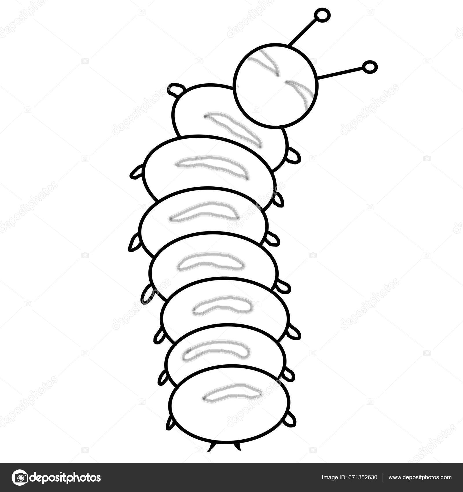 Simple Picture Black White Caterpillar White Background Coloring ...