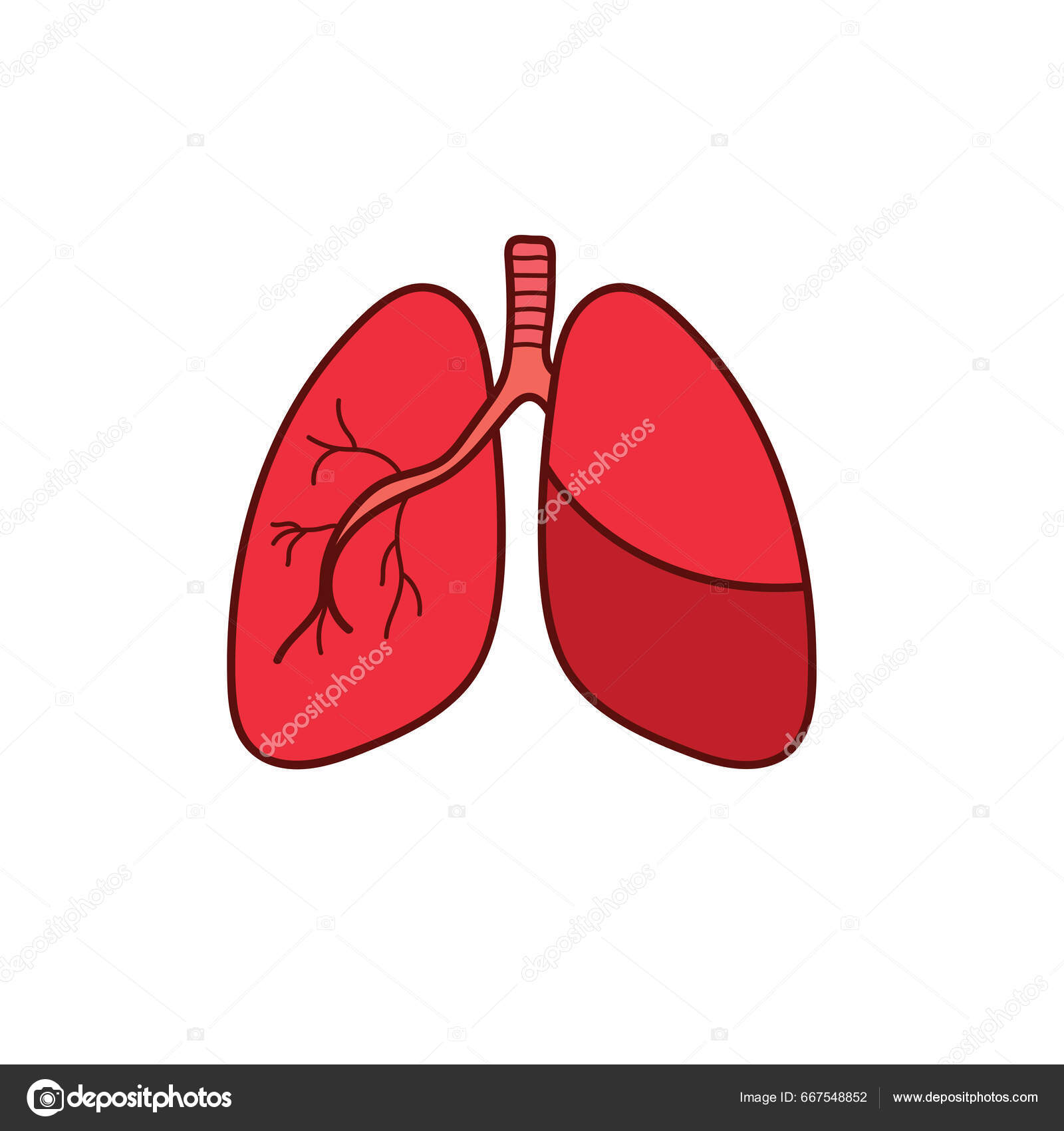 Lunge Tegning For Barn