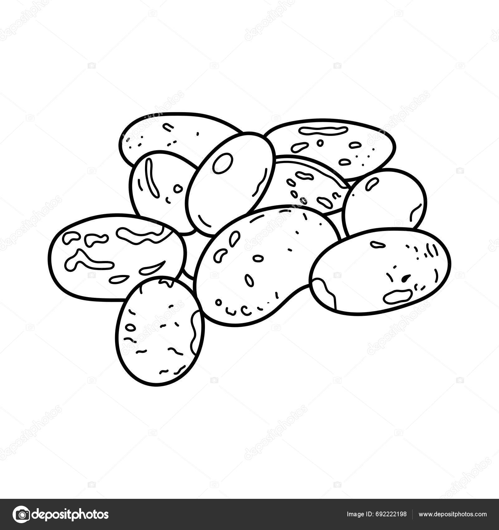Hand Drawn Kids Drawing Vector Illustration Pinto Beans Cartoon Style ...