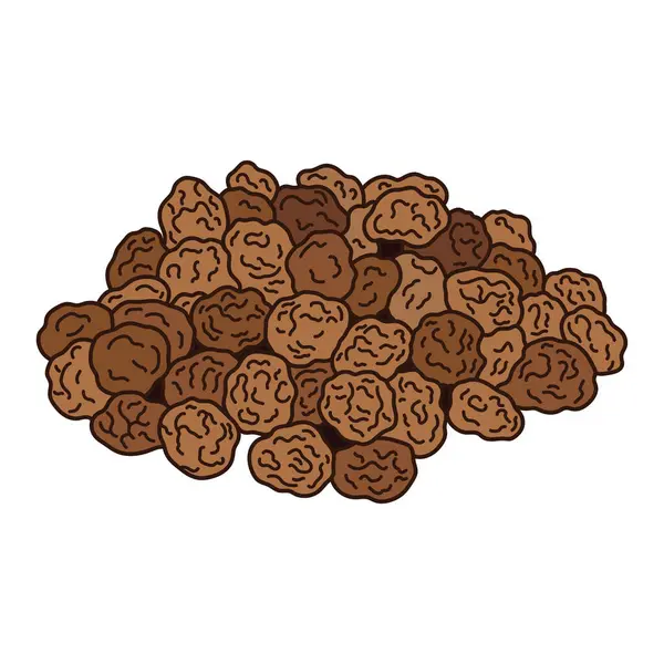 Kids Drawing Vector Illustration Saba Nuts Cartoon Style Isolated White ...