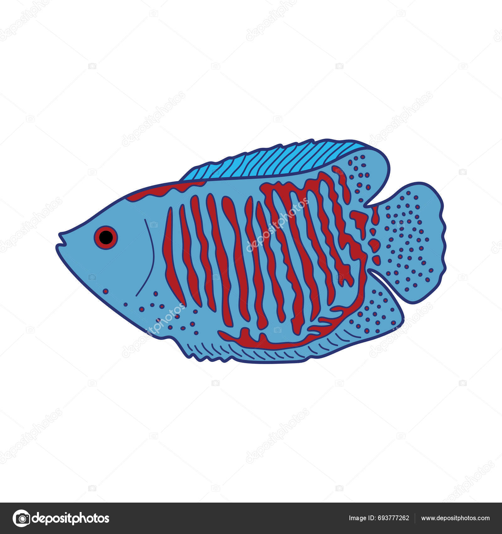Cartoon Vector Illustration Dwarf Gourami Fish Icon Isolated White ... Cartoon Vector Illustration Dwarf Gourami Fish Icon Isolated White ...