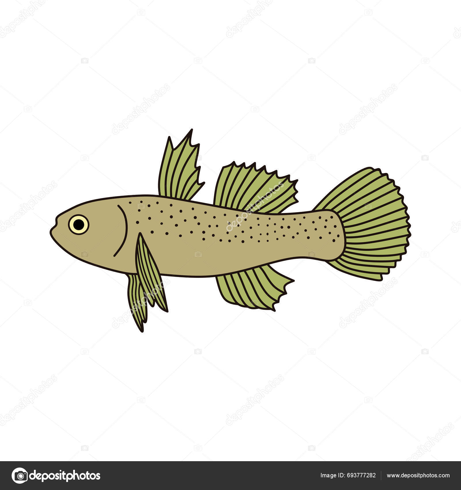 Cartoon Vector Illustration Freshwater Goby Fish Icon Isolated White ...